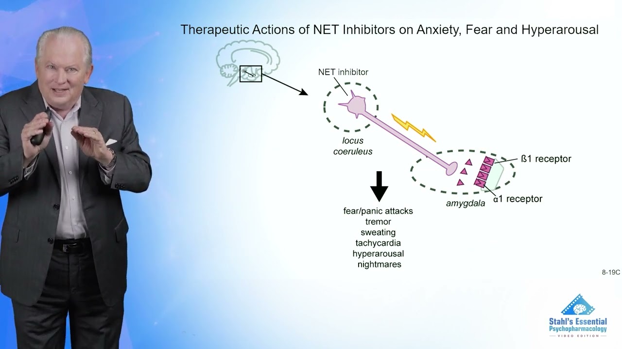 What Causes Anxiety, Panic Attacks, Hyperarousal, and Nightmares | TVALZ